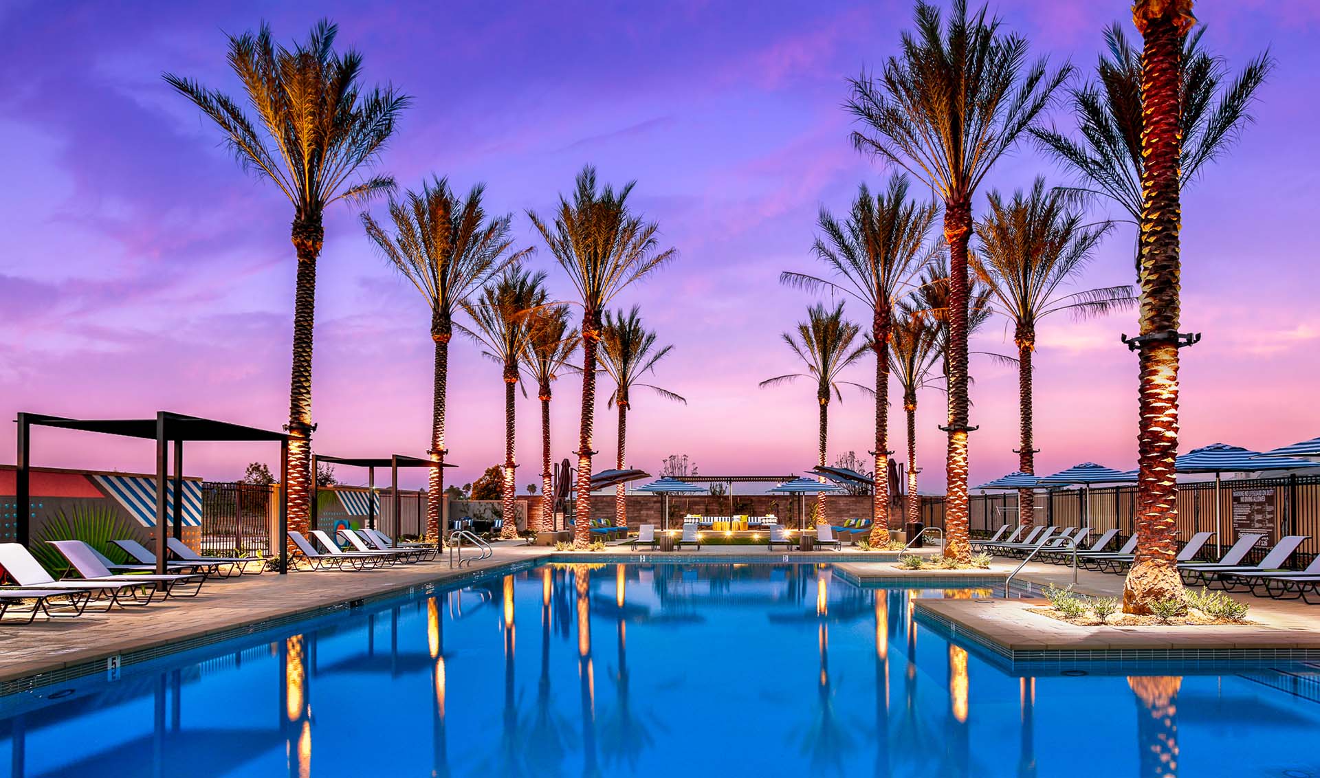 The Landing - Gunn | Jerkens